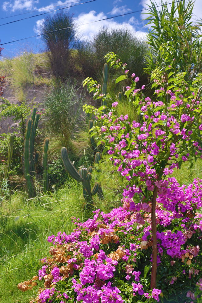 The Perfect Day Trip From Buenos Aires To Uruguay: Colonia ...